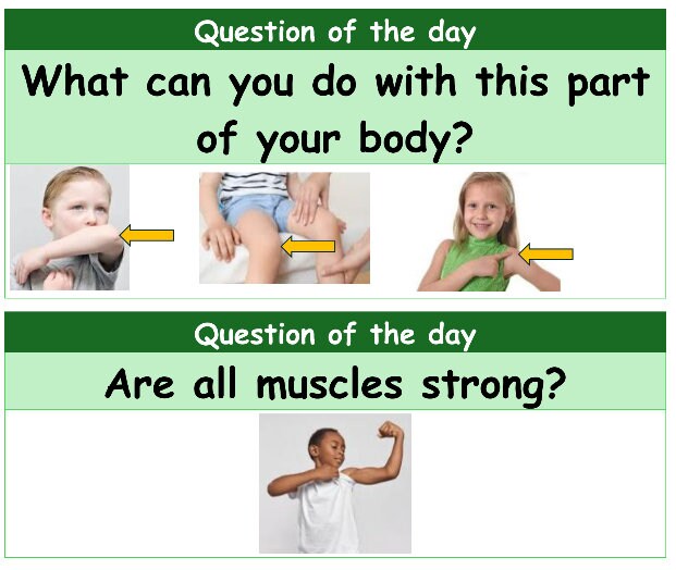 Question of the Day Cards - Exercise Study (creative Curriculum Regular ...
