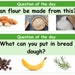 Question of the Day Cards - Bread Study (creative Curriculum Regular ...
