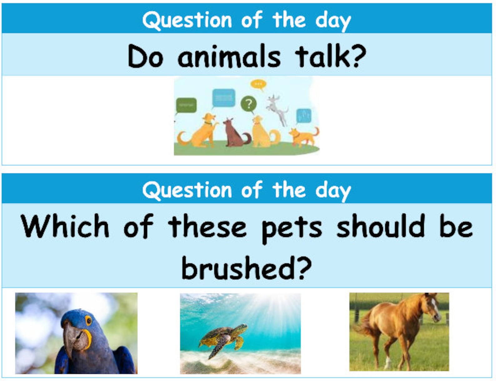 Question of the Day Cards - Pets Study (creative Curriculum Regular ...