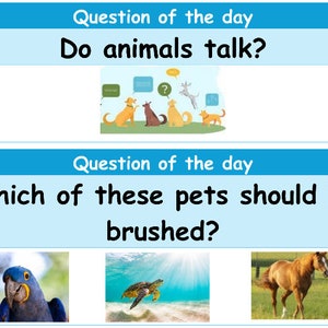 Question of the Day Cards - Pets Study (creative Curriculum Regular ...