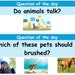Question of the Day Cards - Pets Study (creative Curriculum Regular ...