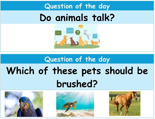 Question of the Day Cards - Pets Study (creative Curriculum Regular ...