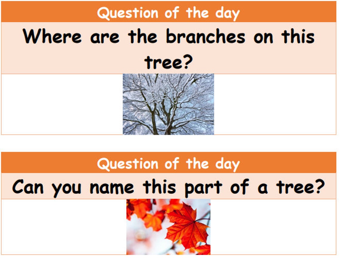 Question of the Day Cards for the Trees Study (creative Curriculum ...