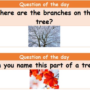 Question of the Day Cards for the Trees Study (creative Curriculum ...