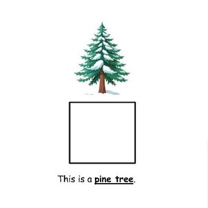 Trees Vocabulary Book - Etsy
