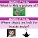Question of the Day Cards - Insects Study (creative Curriculum Regular ...