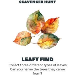 Kids Nature Walk Scavenger Hunt Journal - Etsy