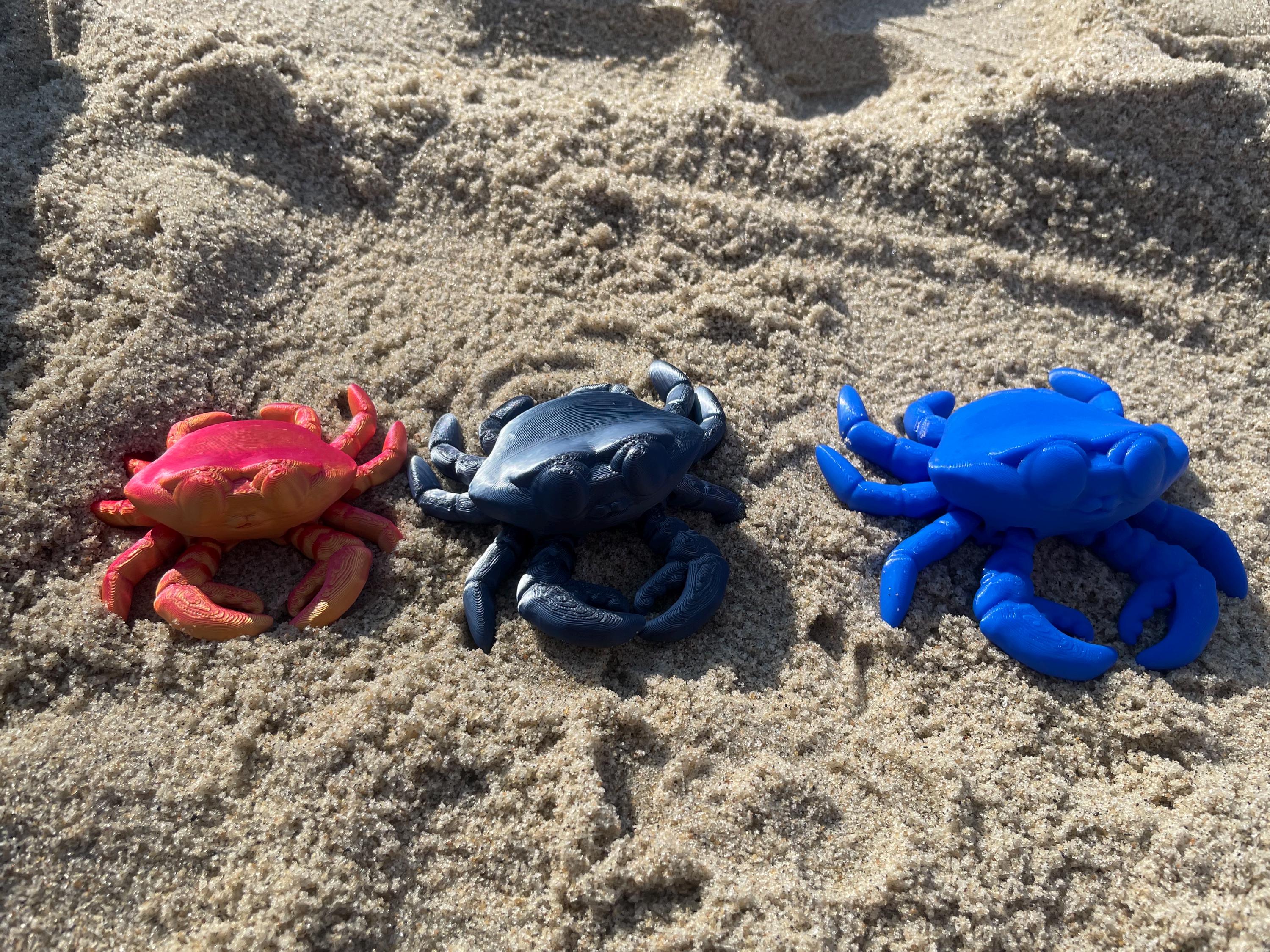 Articulated Crab Fidget Flexible 3D Printed (3 Sizes) - Etsy