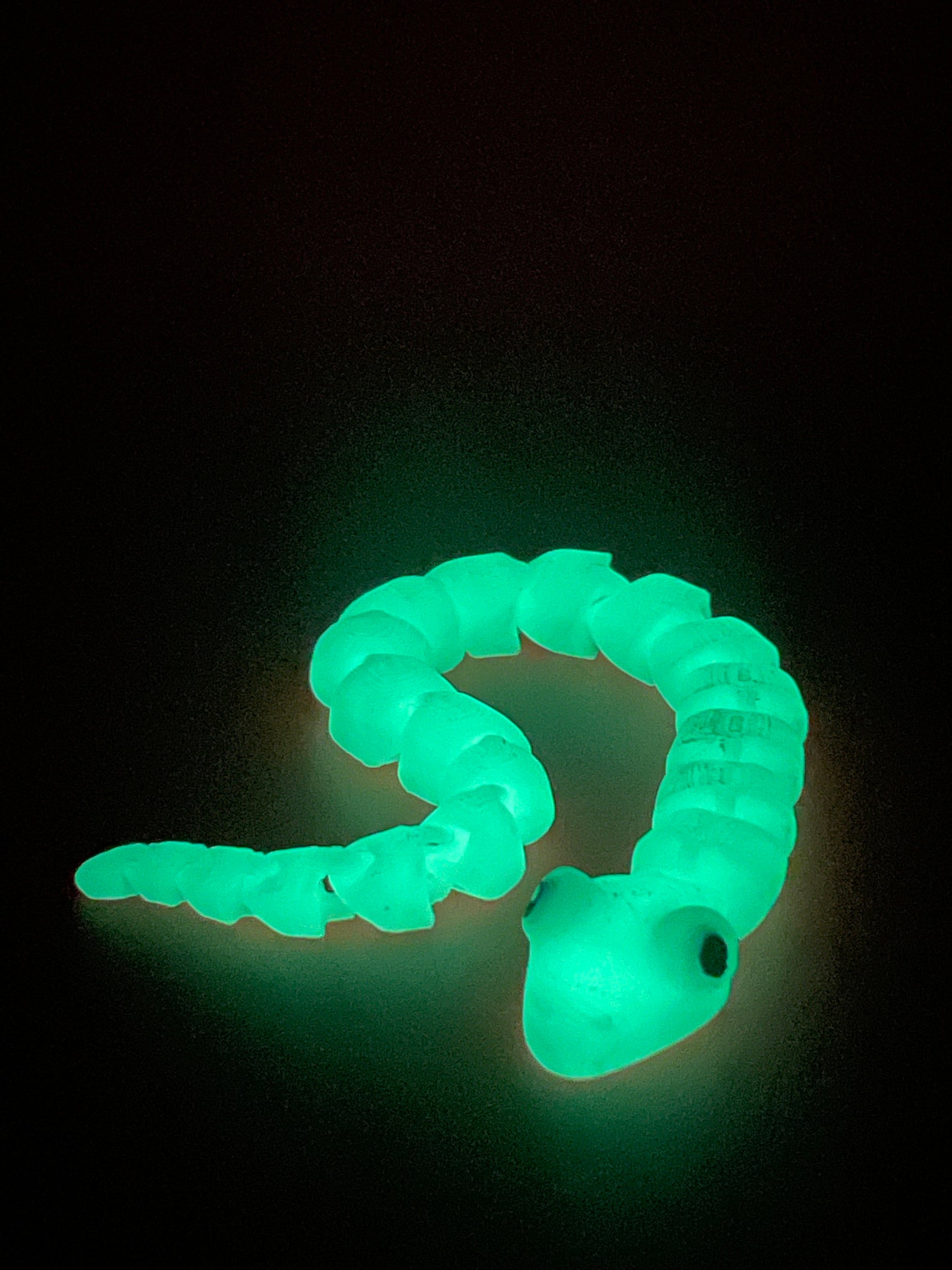 Articulated Snake Fidget Flexible 3D Printed, Sensory, Calming, Desk ...