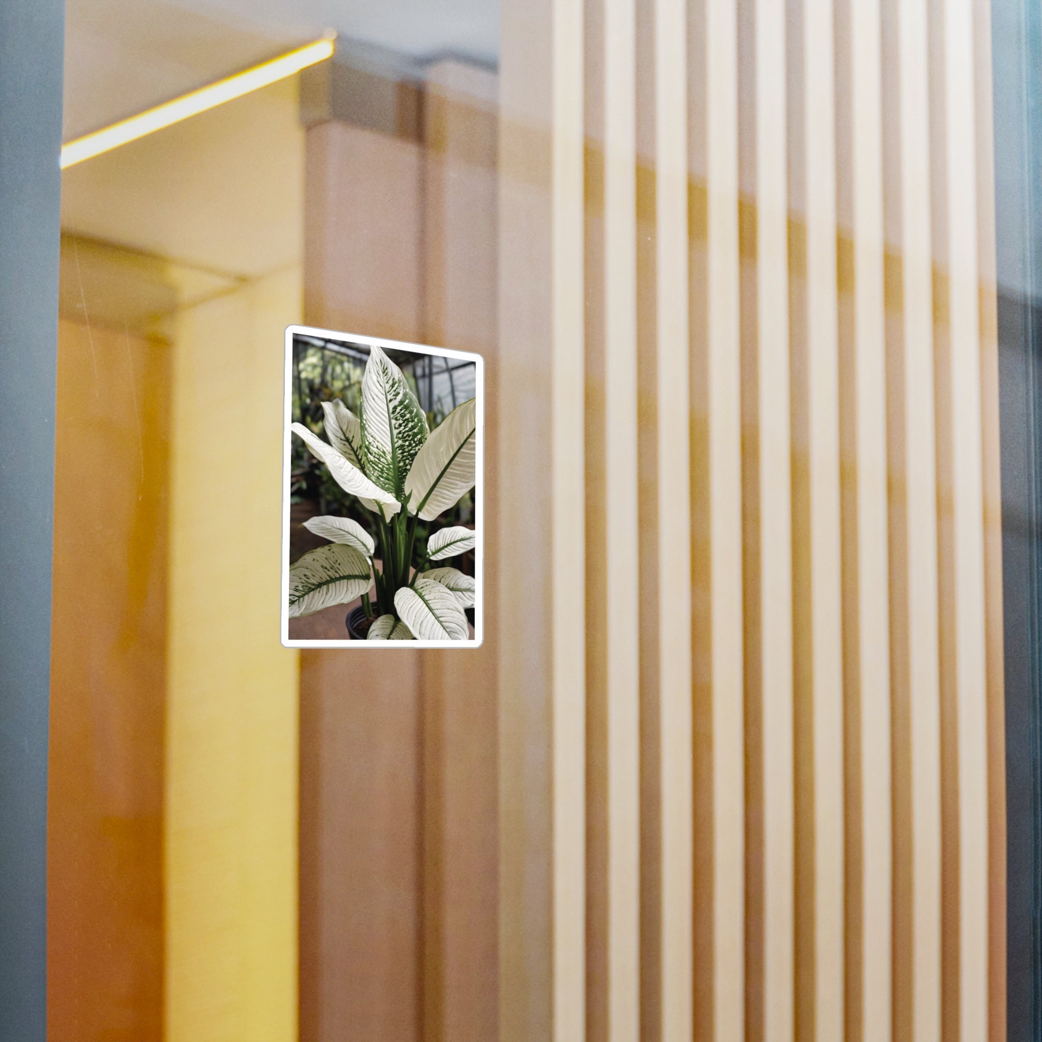 Plants Vinyl Decals - Etsy