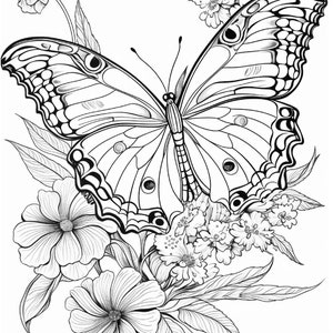Printable Magic Butterfly Coloring Pages for Children and Adults ...