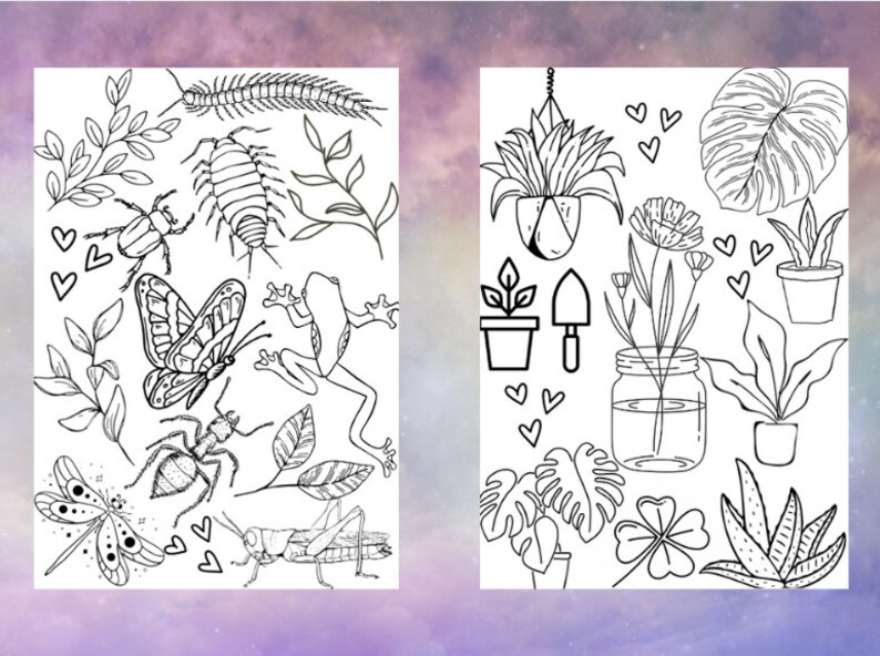 Sticker Style Coloring Book - Etsy