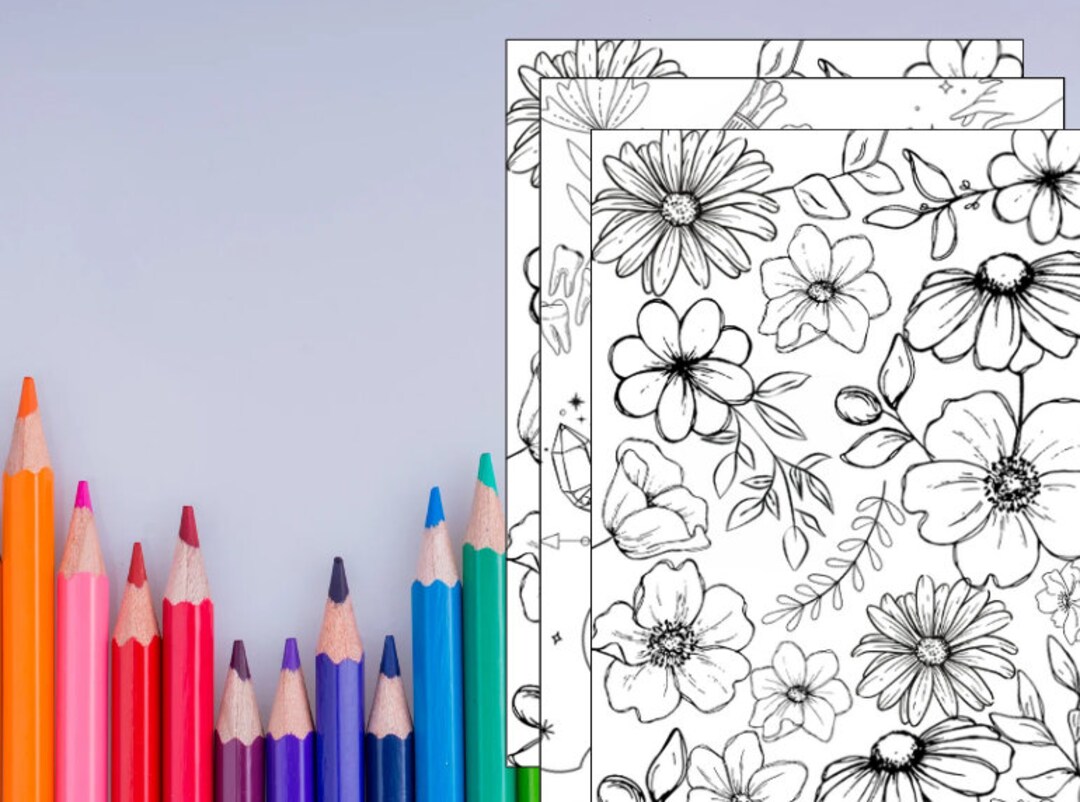 Sticker Style Coloring Book - Etsy