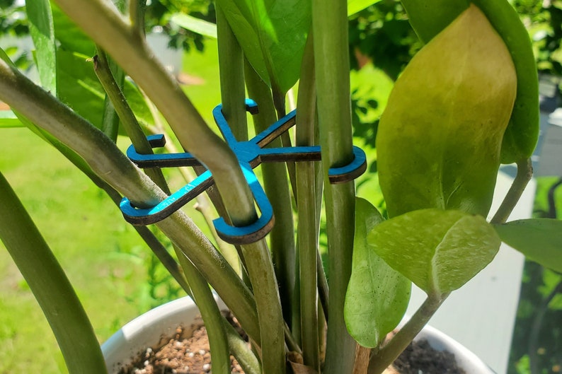 Pack of 6 Stem Supports for Climbing Houseplants | Indoor Plant Support ...