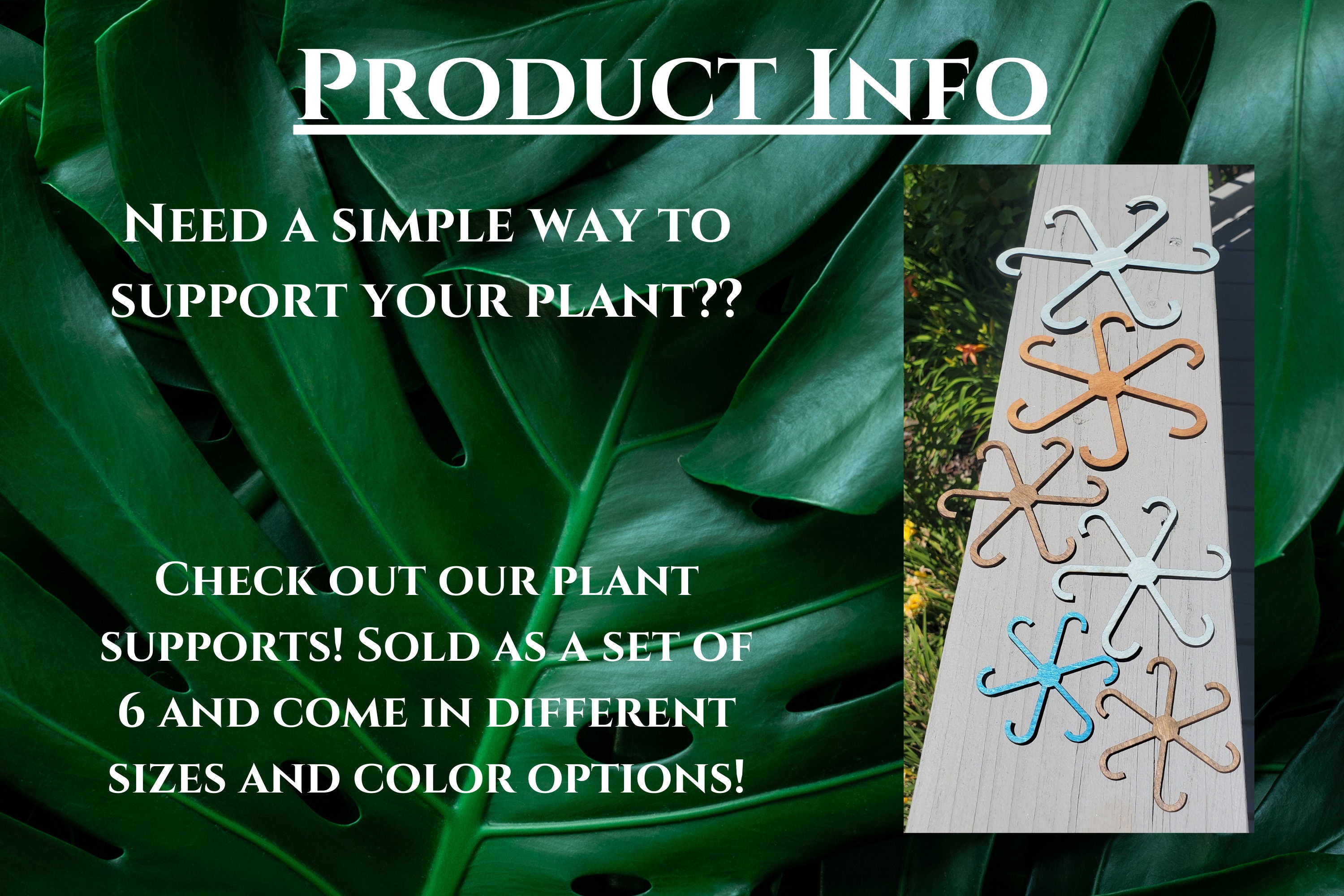 Pack of 6 Stem Supports for Climbing Houseplants | Indoor Plant Support ...