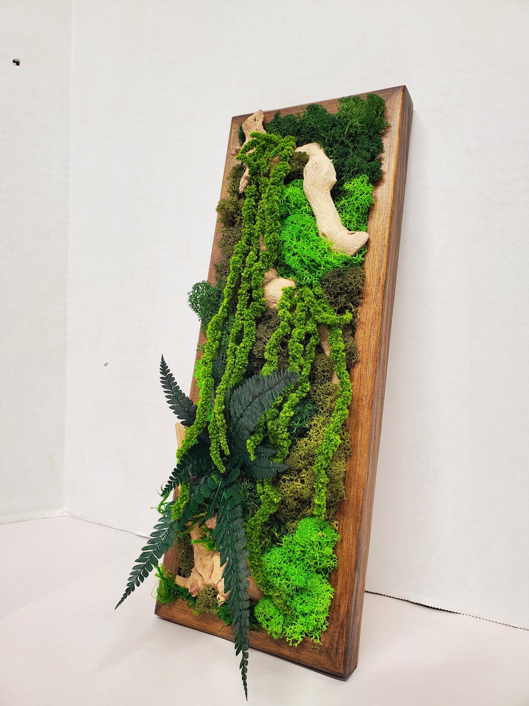 Boho Moss Wall Art, Preserved Moss Wall Decor, Botanical Framed Display ...