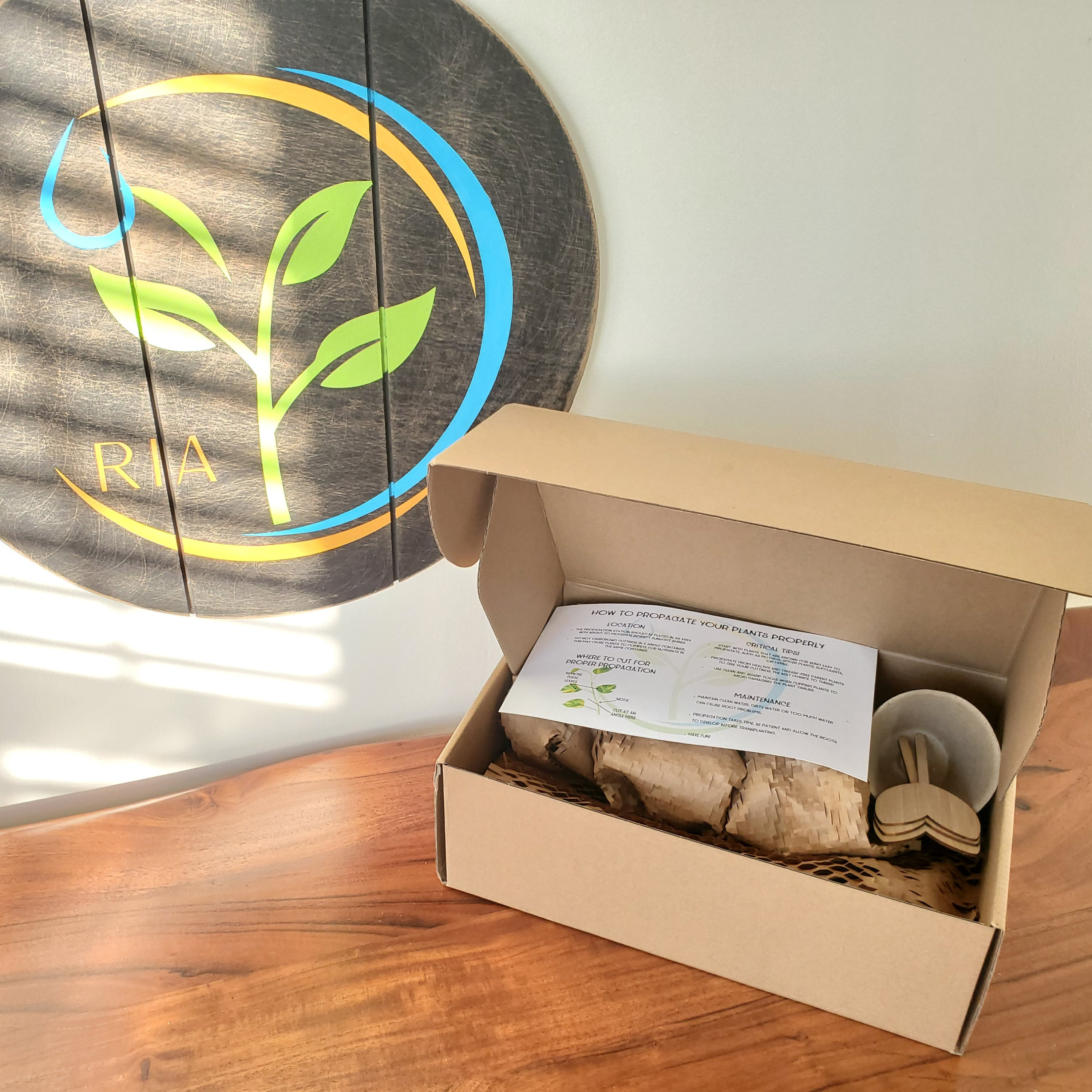 Eco Friendly Propagation Gift Kit, House Warming Idea, Indoor Garden ...