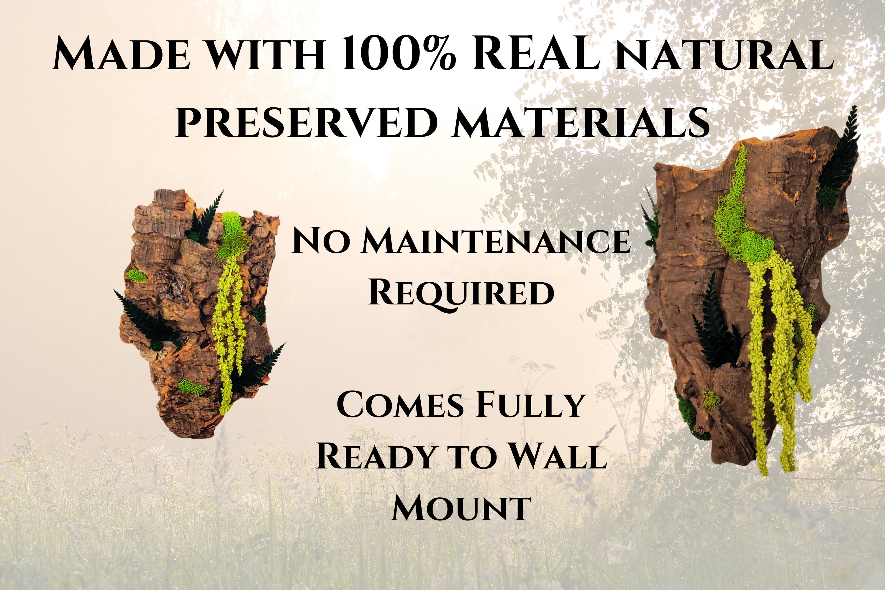 Natural Element Wall Art, Vertical Cork Garden Display, Maintenance ...