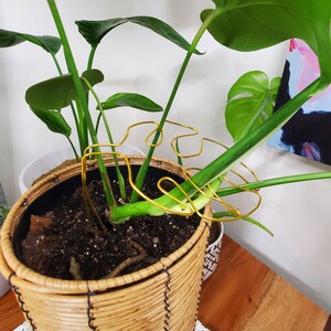Monstera Shaped Plant Support for Smaller Indoor Potted House Plants ...
