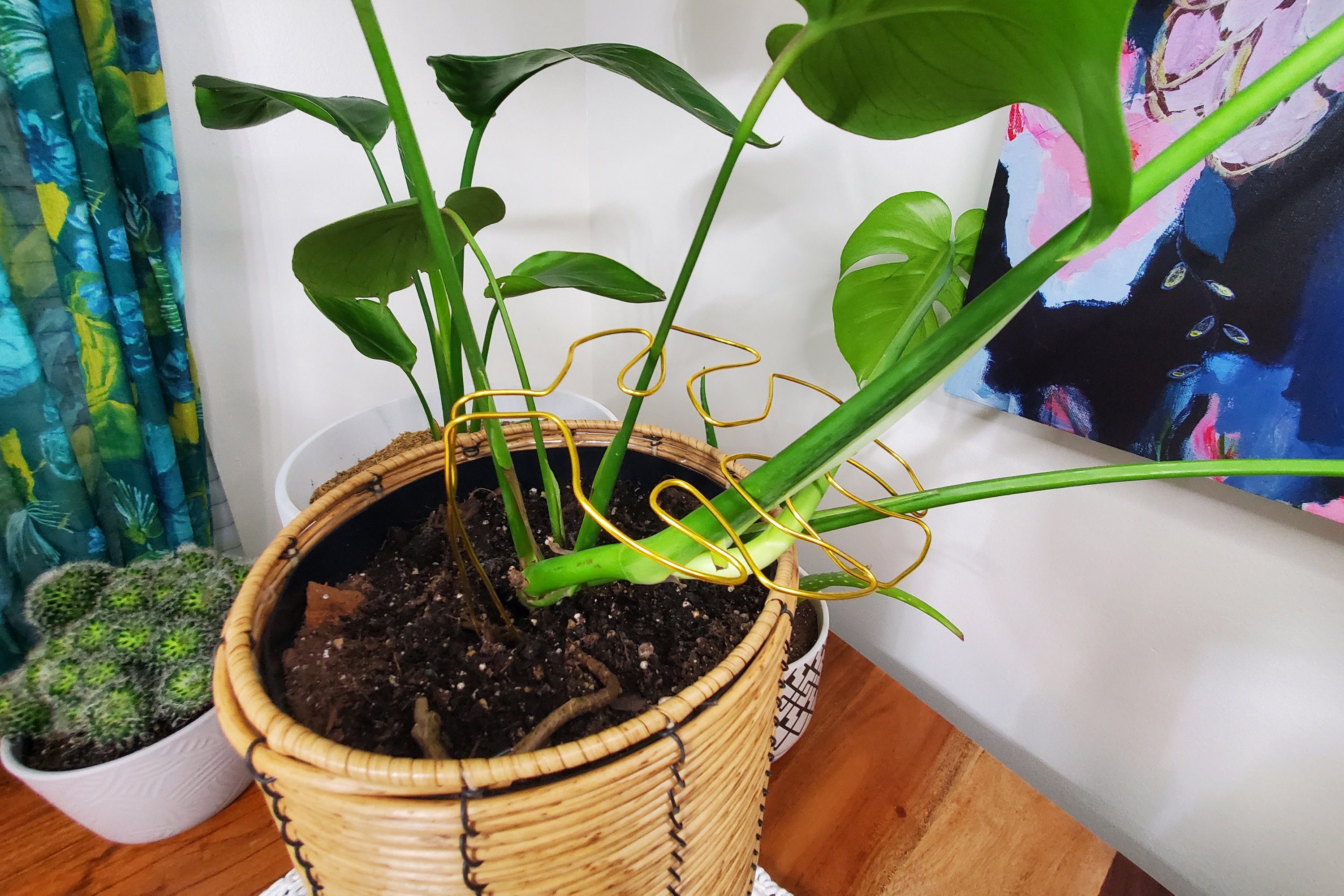 Monstera Shaped Plant Support for Smaller Indoor Potted House Plants ...