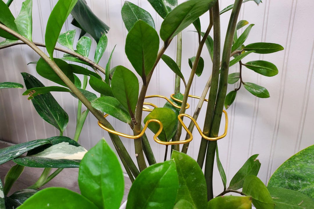 Indoor Houseplant Stem Brace, Monstera Leaf Shaped Plant Support ...