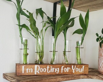 Eco Friendly Propagation Gift Kit, House Warming Idea, Indoor Garden ...