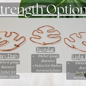 Monstera Leaf Shaped Plant Support, Decorative Home Decor Plant ...