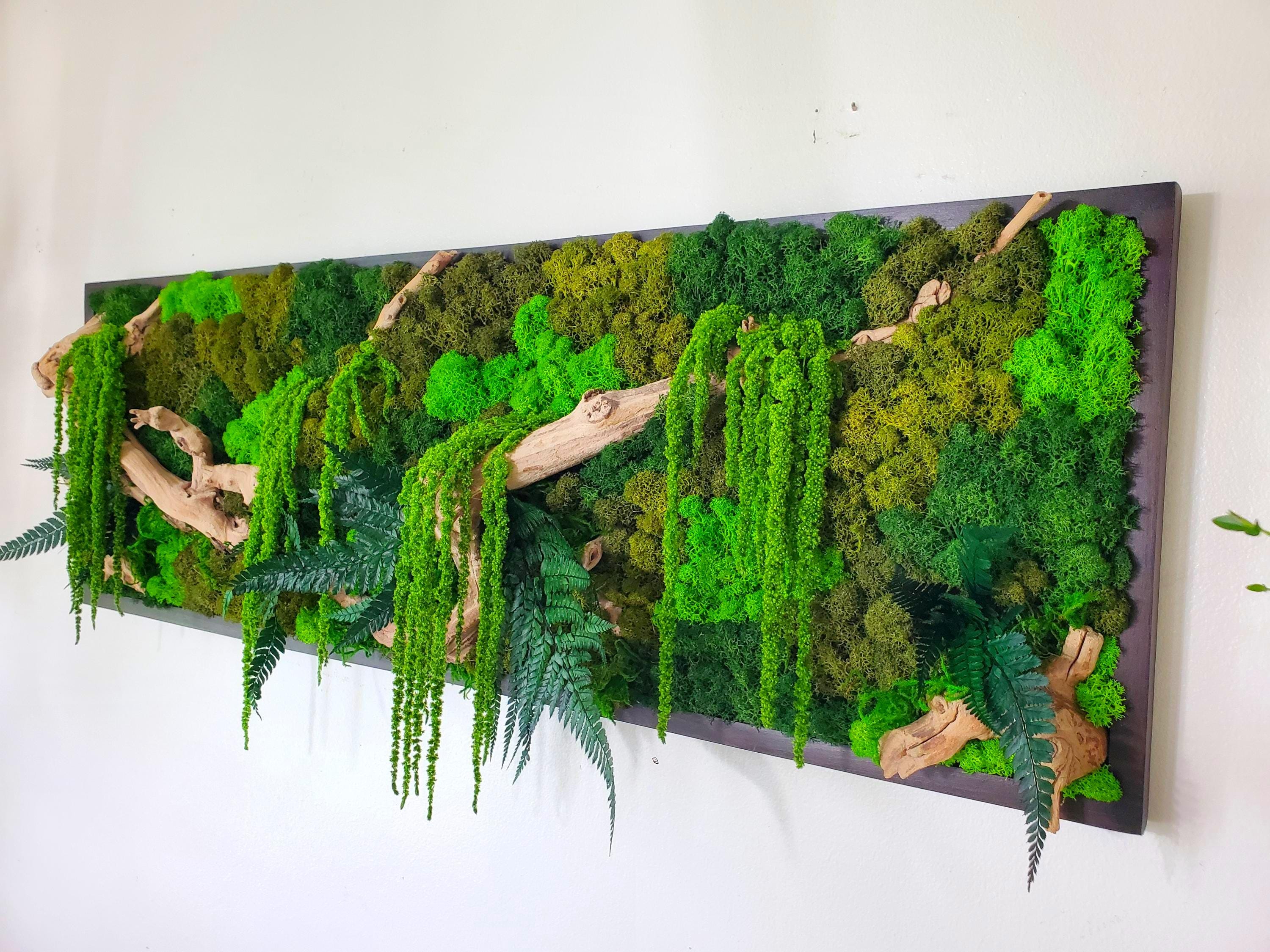 Moss Wall Art, Preserved Moss Art, Botanical Wall Art, Wood Frame Sets ...