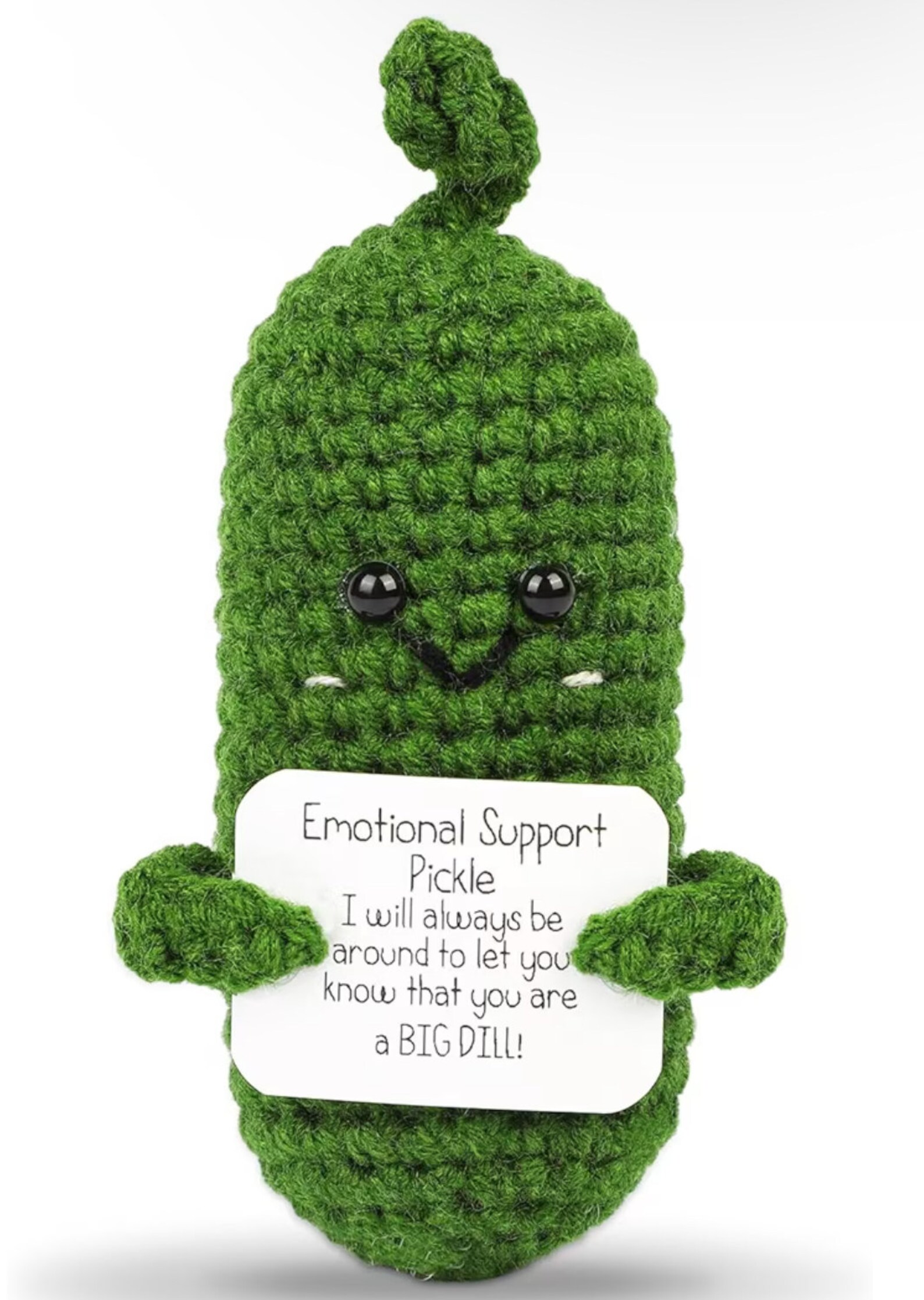 Emotional Support Pickle Positive Pickle Big Fan Pickle Handmade ...