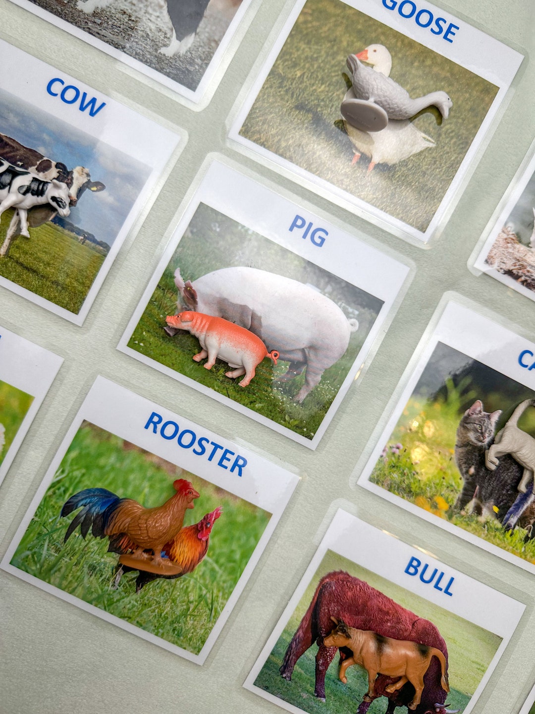 Montessori Farm Animal Matching - Etsy