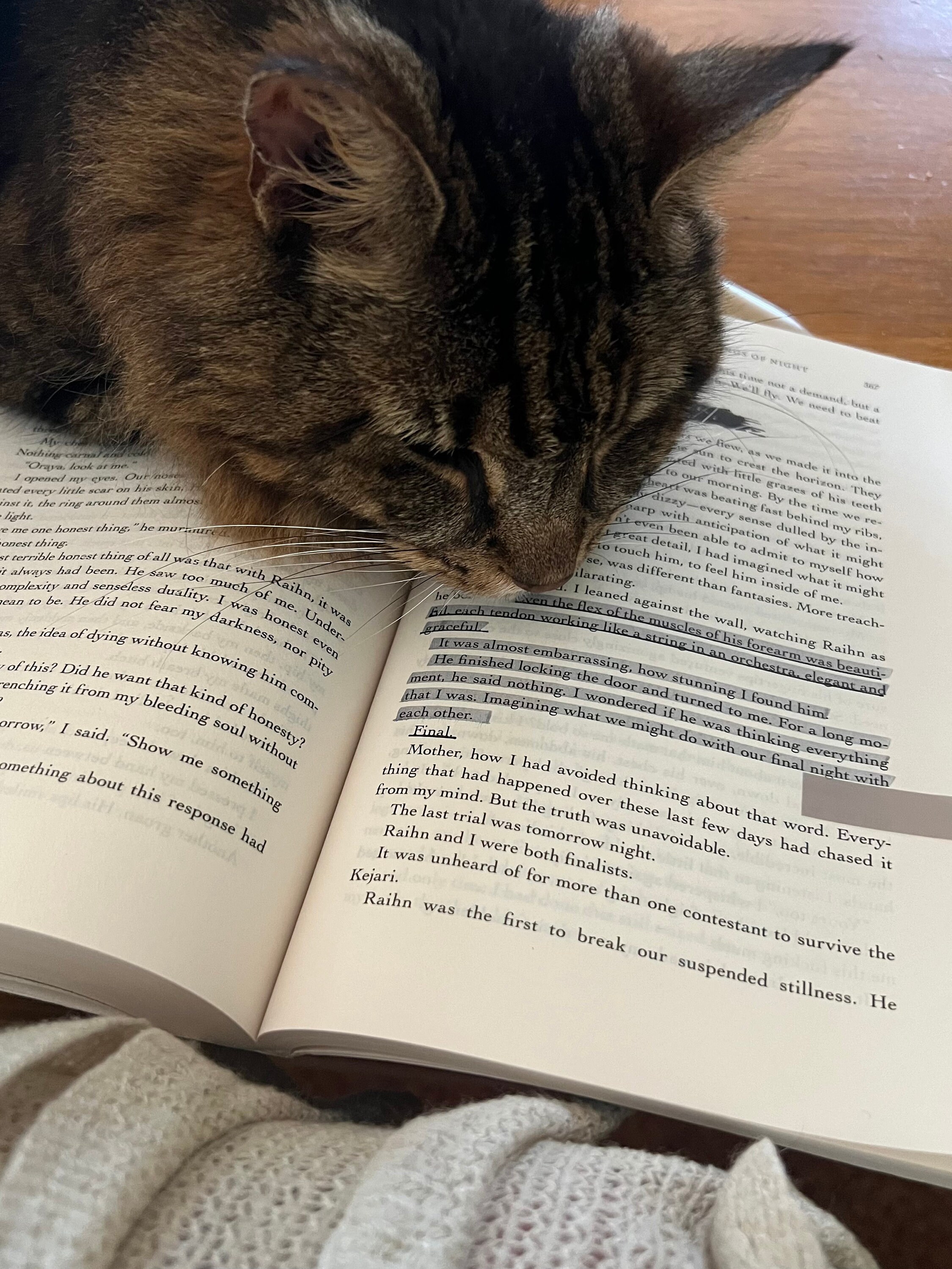 Custom Book Annotations - Etsy