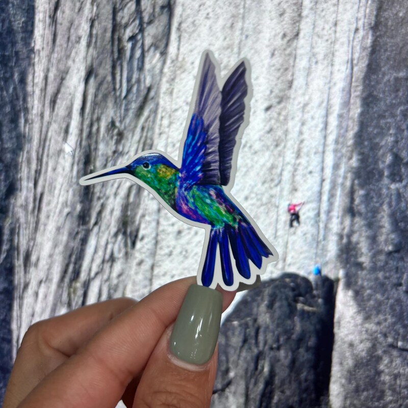 Hummingbird Sticker - Etsy