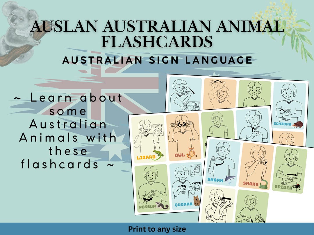 AUSLAN Australian Animal Flashcards for Beginners - Etsy