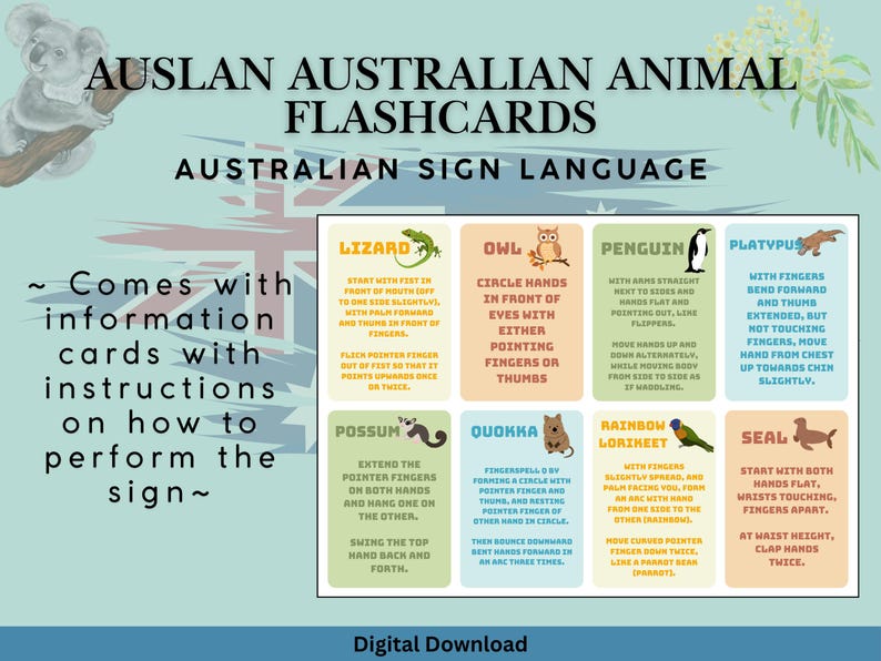 AUSLAN Australian Animal Flashcards for Beginners - Etsy