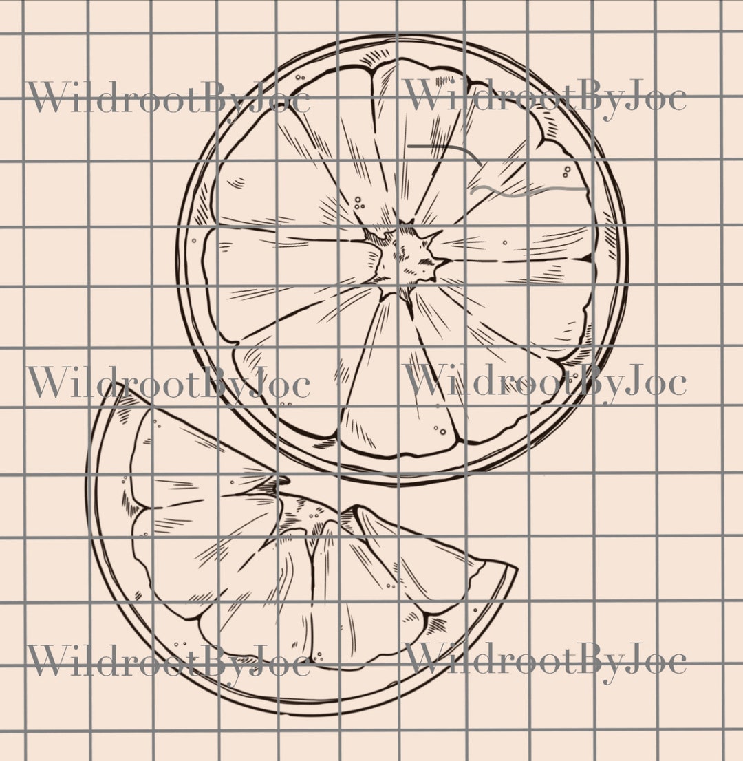 Orange Citrus Tattoo Design, With and Without Color - Etsy