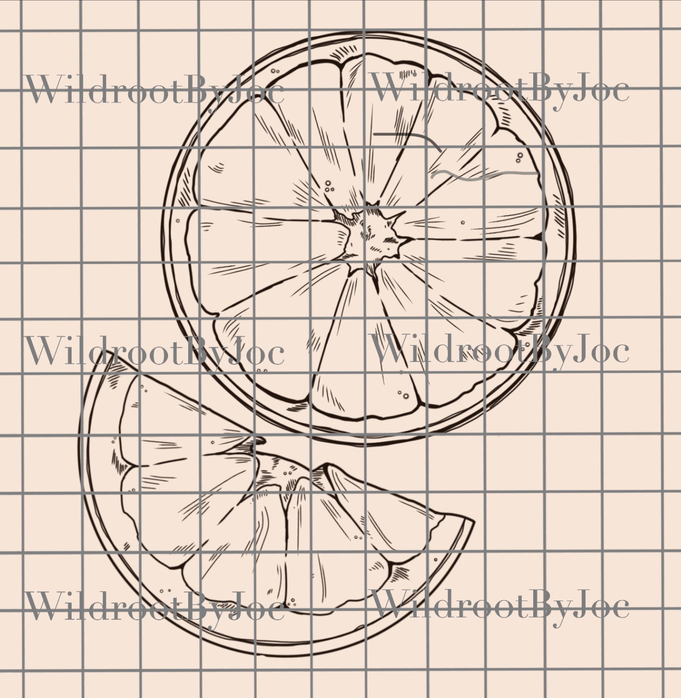 Orange Citrus Tattoo Design, With and Without Color - Etsy