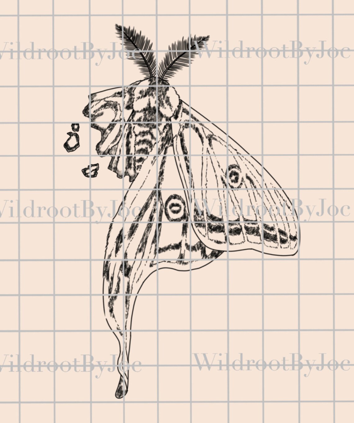 Burnt Moth Tattoo Design - Etsy
