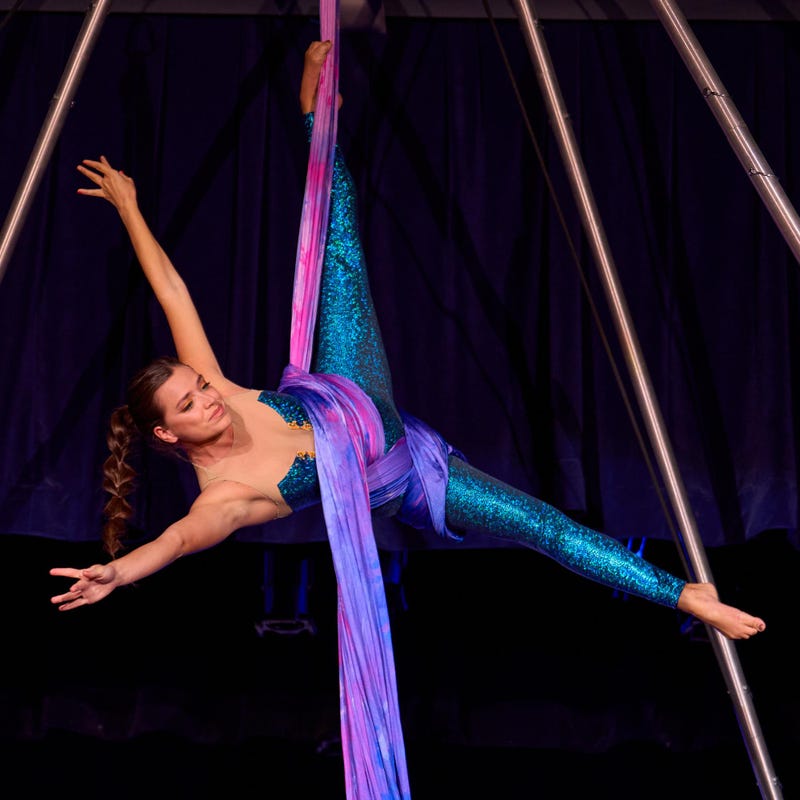 Aerial Costume - Etsy