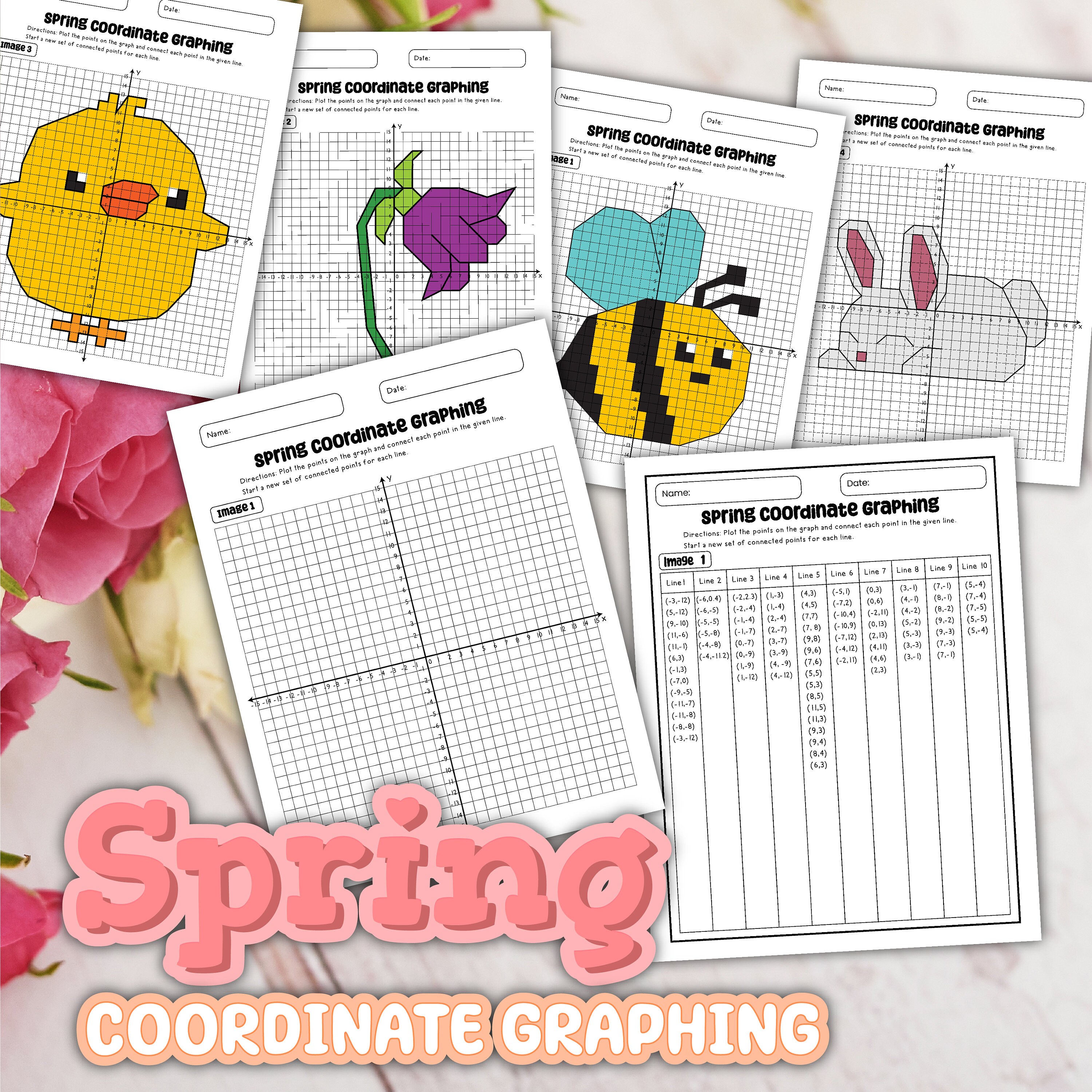 Spring Coordinate Graphing Math Worksheets Printable Digital Download ...