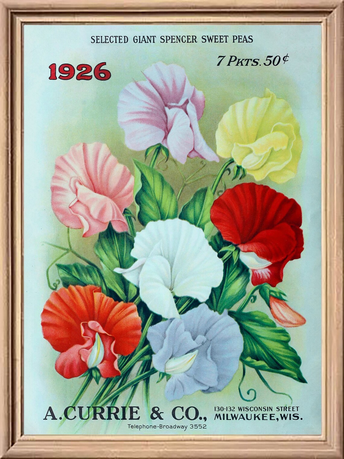 Vintage Plant Seed Posters, Vintage Art, Classic Gardening Art, Fine ...