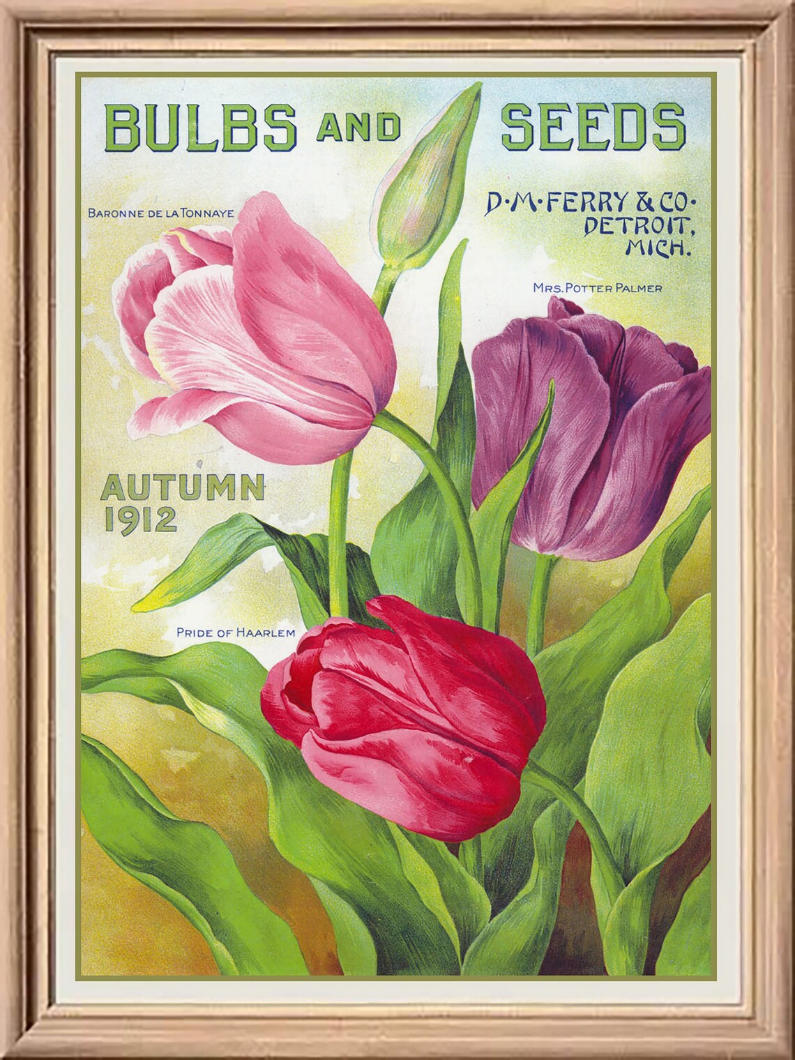 Vintage Plant Seed Posters, Vintage Art, Classic Gardening Art, Fine ...