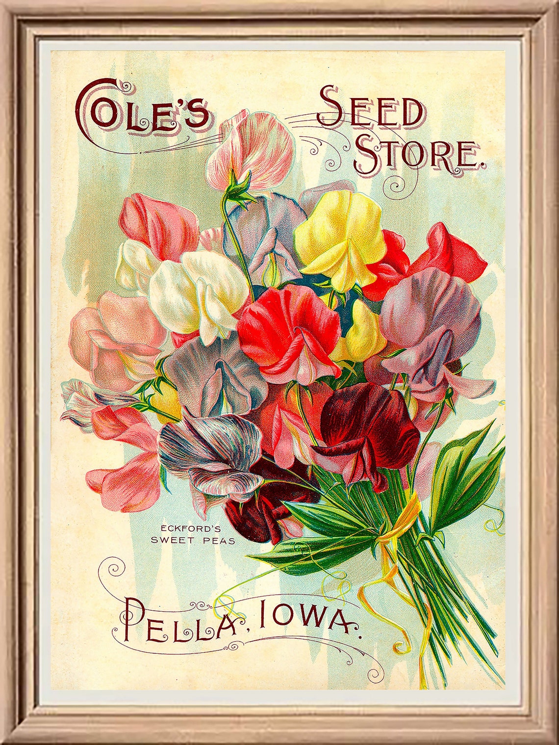 Vintage Plant Seed Posters, Vintage Art, Classic Gardening Art, Fine ...