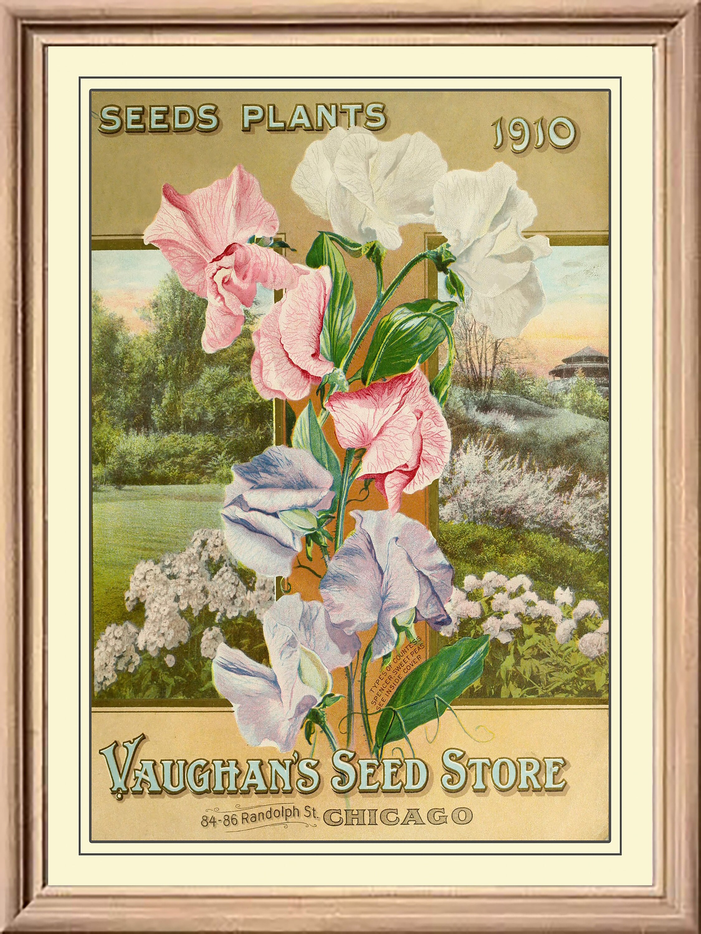 Vintage Plant Seed Posters, Vintage Art, Classic Gardening Art, Fine ...