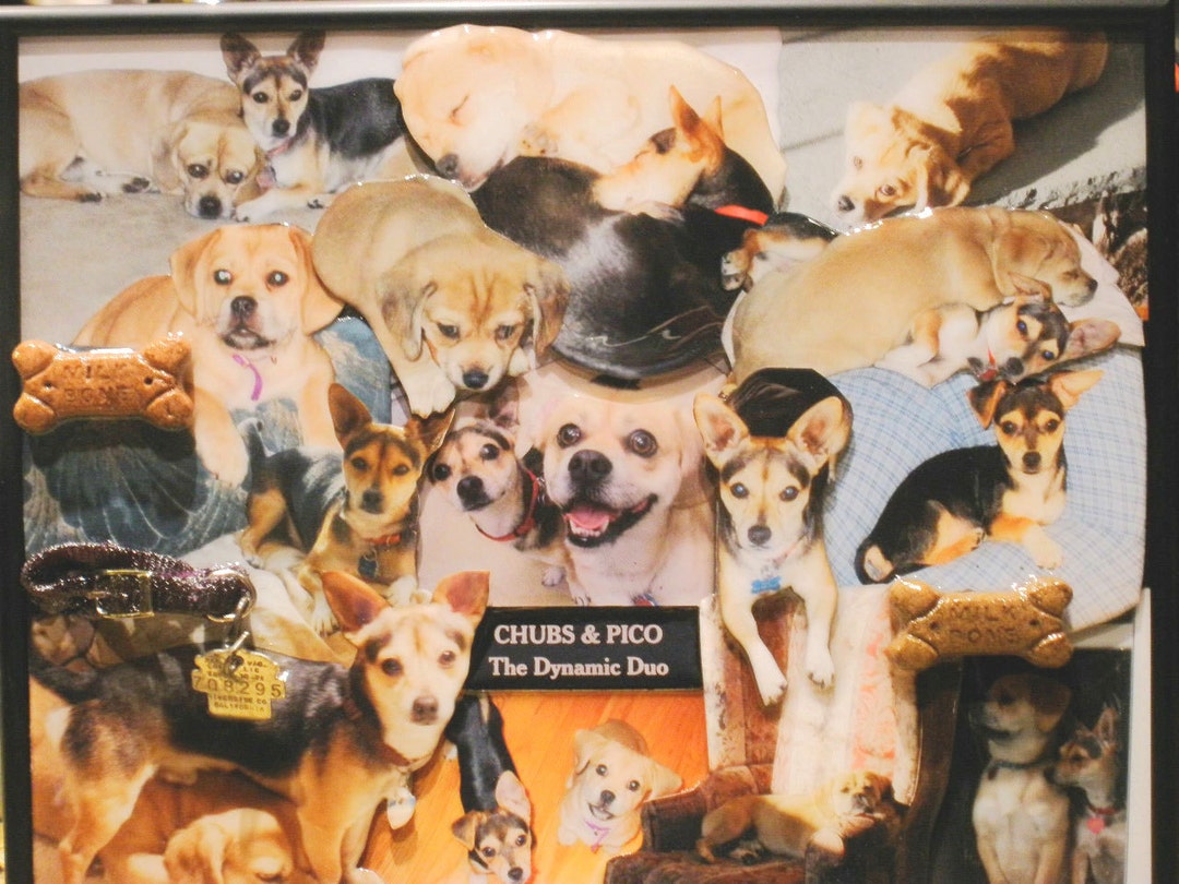 Custom Photo Dog Collage 3D 11x14 Shown Here - Etsy