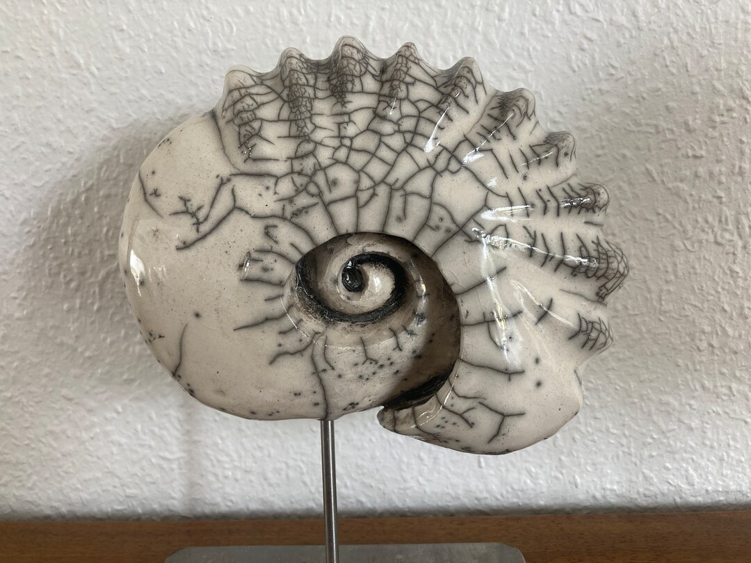 Ceramic Raku Shell Nautilus Interior Decoration - Etsy