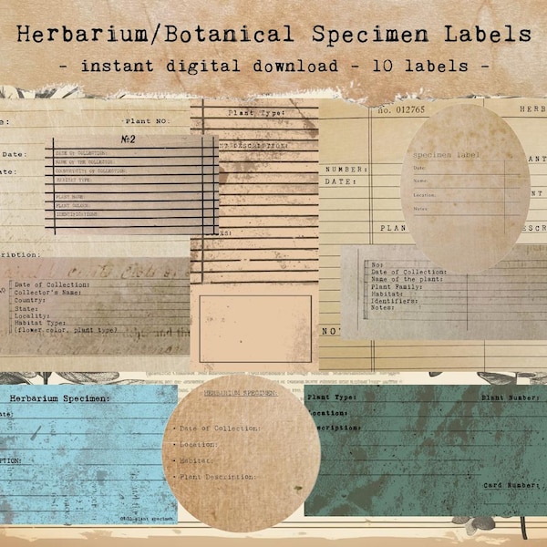 Herbarium Label - Etsy