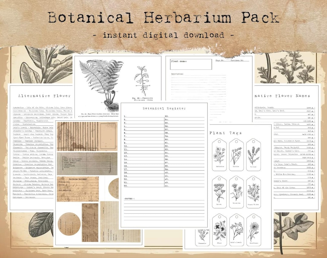 Botanical Herbarium Pack ~ Instant Digital Download Prints-for Specimen ...