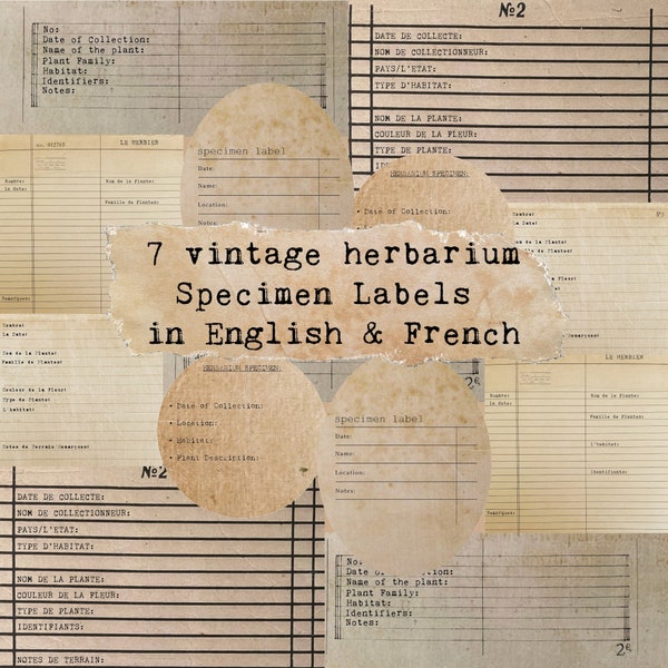 Herbarium Label - Etsy
