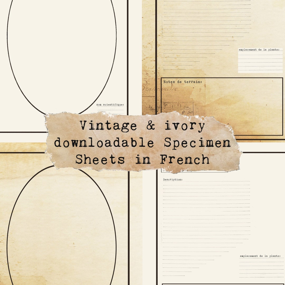 4 Botanical Specimen Sheets FRENCH Digital Download in Vintage & Ivory ...