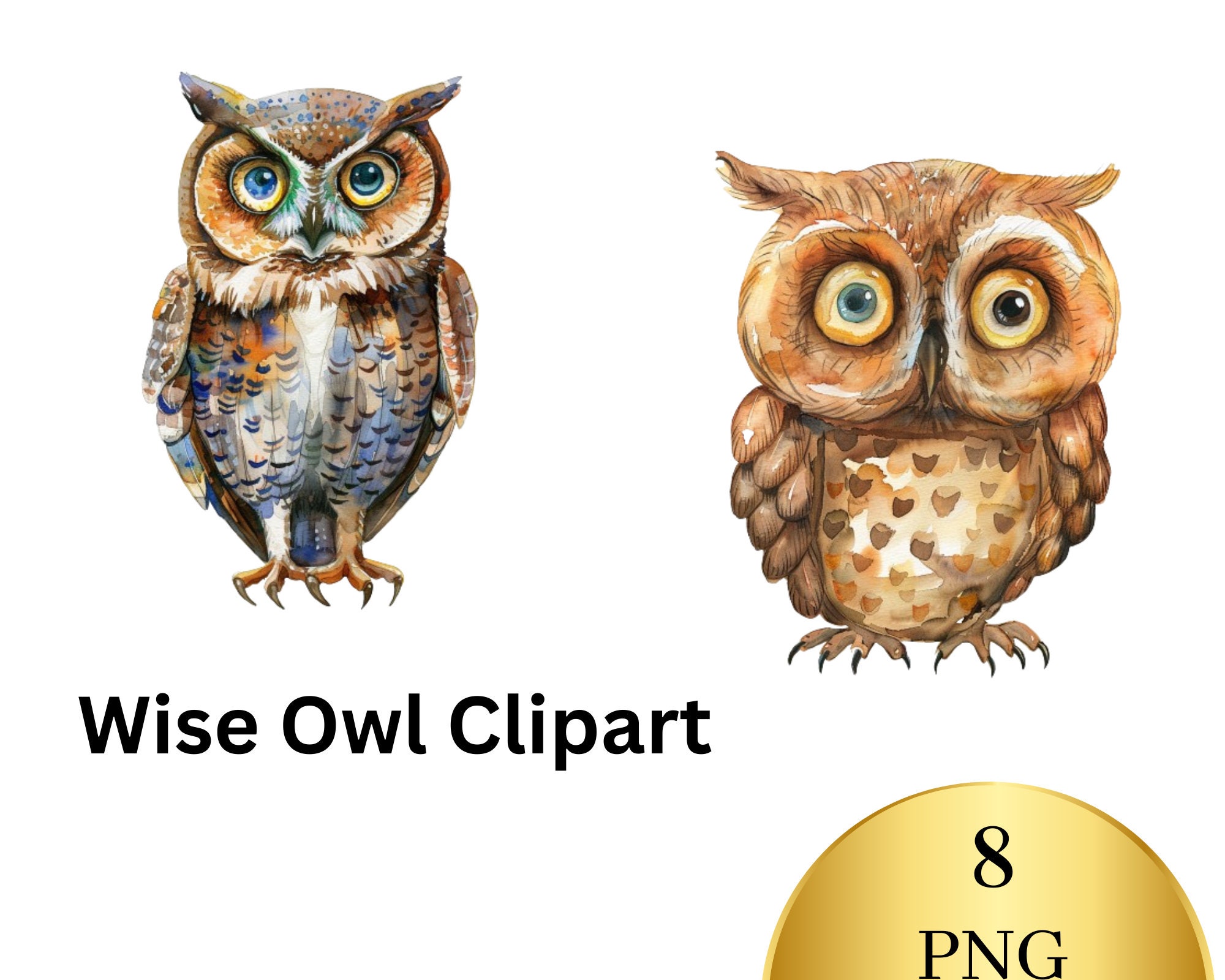 Set of 8, Wise Owl Clipart, Owl Art, Owl Svg, Owl Png, Instant Download ...